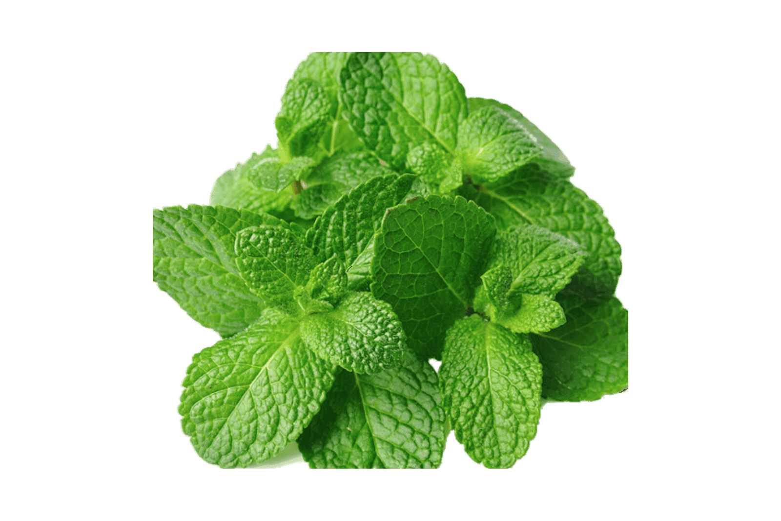 Über Uns - helenrestaurant.ch